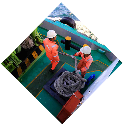 Chelsea Shipping Corporation